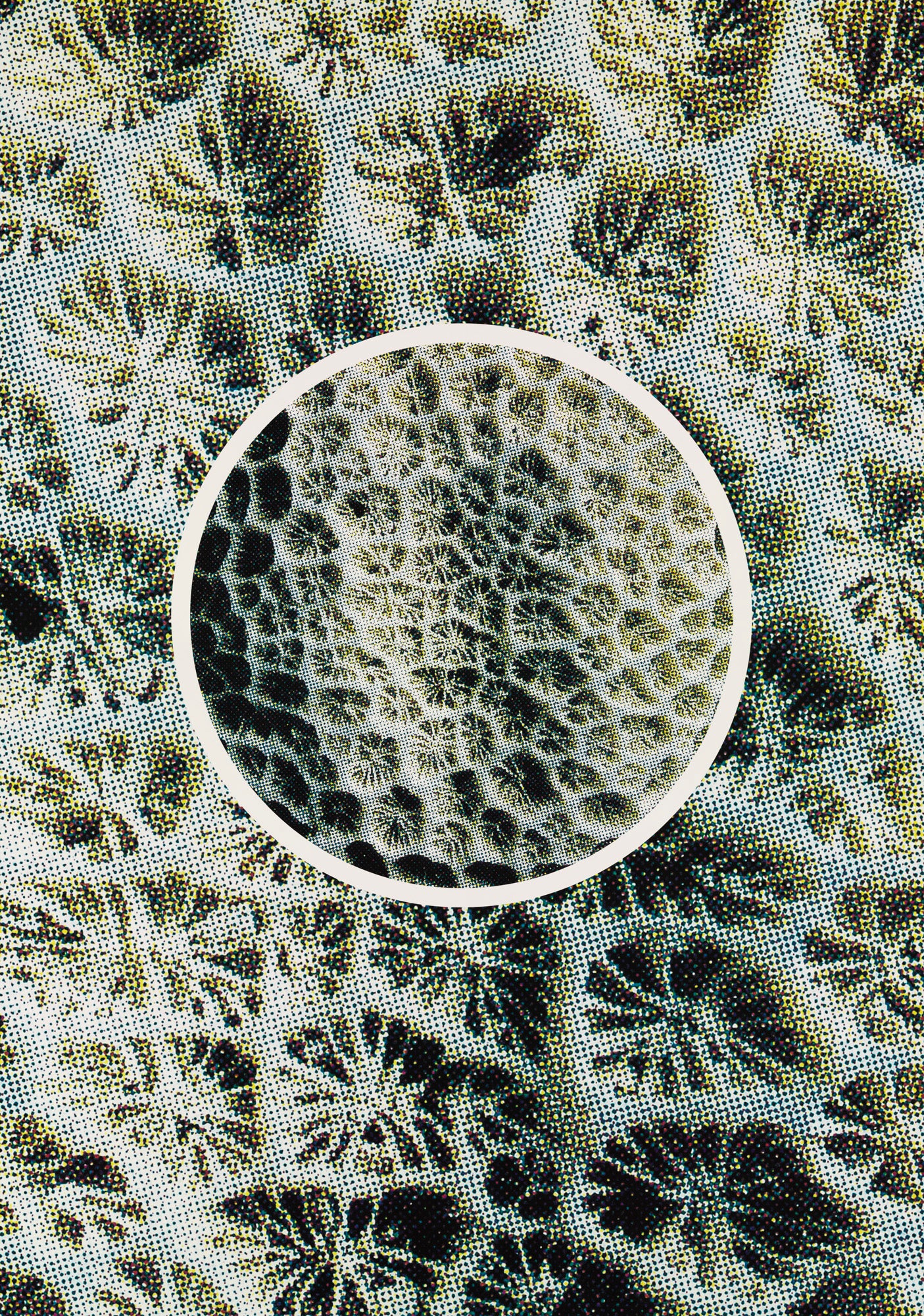 Magnetic Vision [004] – Magnetic Generation